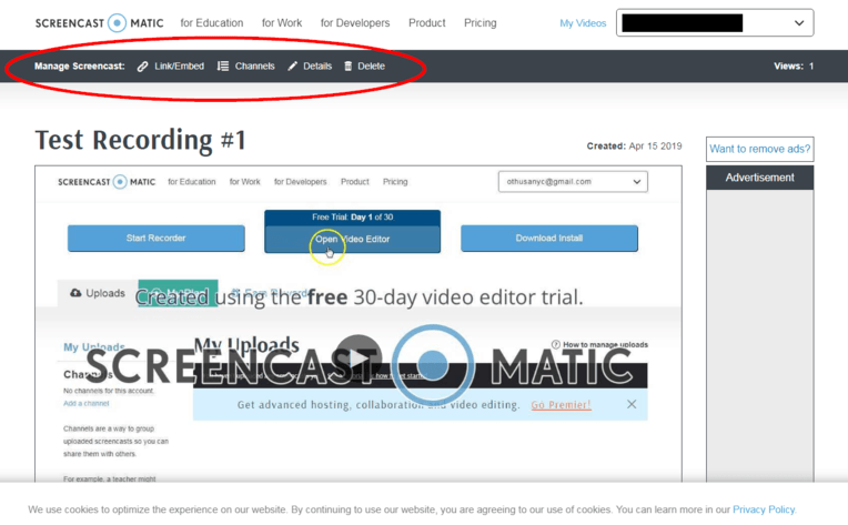 Free video screen capture software easy | My Affiliate Rockstar Child